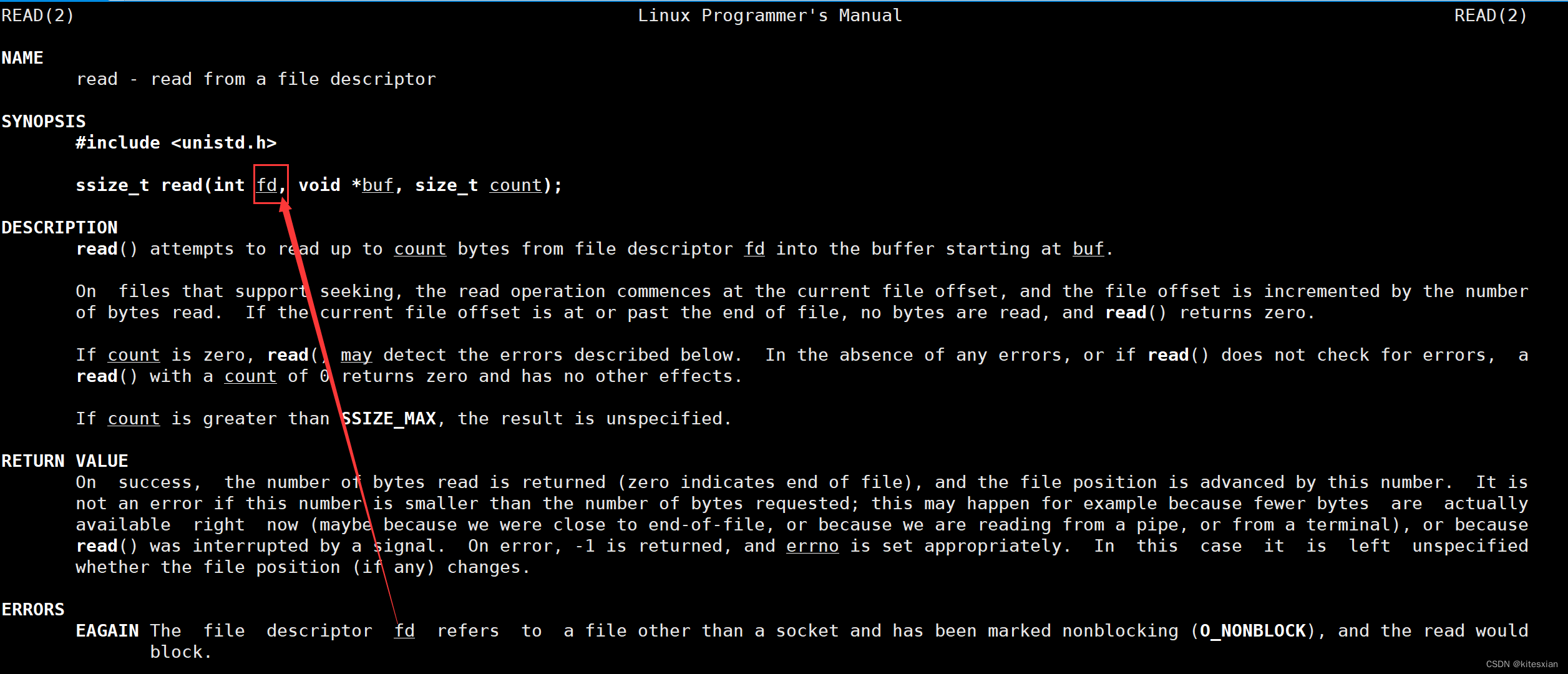 文件描述符（file descriptor）_文件描述符数组-CSDN博客