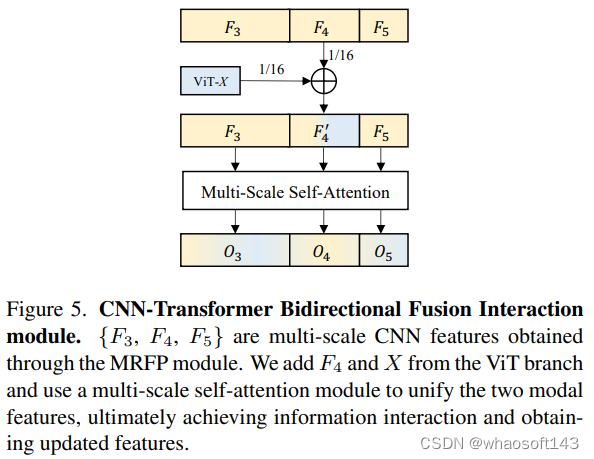 ViT-CoMer_vitcomer-CSDN博客