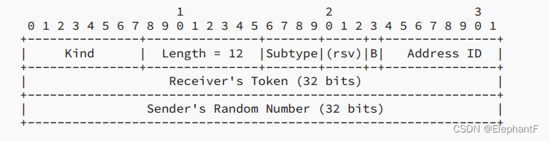 mptcp核心流程分析_mptcp tcp kind字段-CSDN博客
