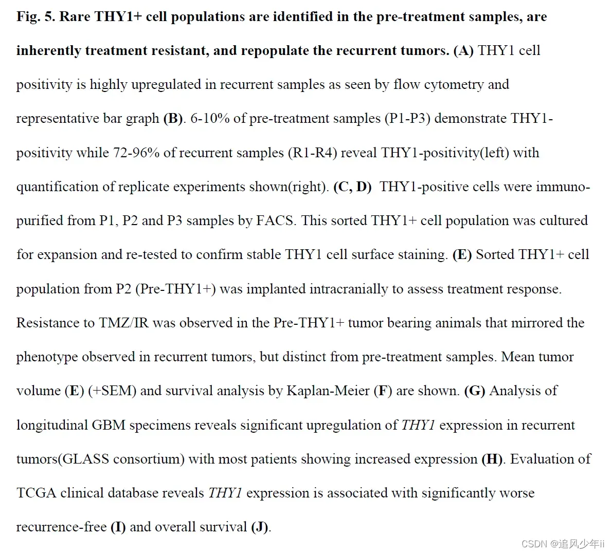 10X空间转录组研究发现空间上不同的 THY1 阳性细胞的亚克隆进化和扩增与胶质母细胞瘤的复发有关-CSDN博客