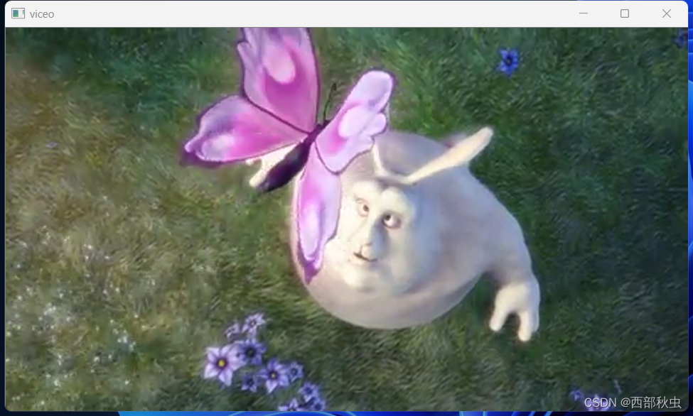 12 使用ffmpeg读取rtmp流并用opencv显示视频opencv How To Read Stream From Ffmpeg Csdn博客