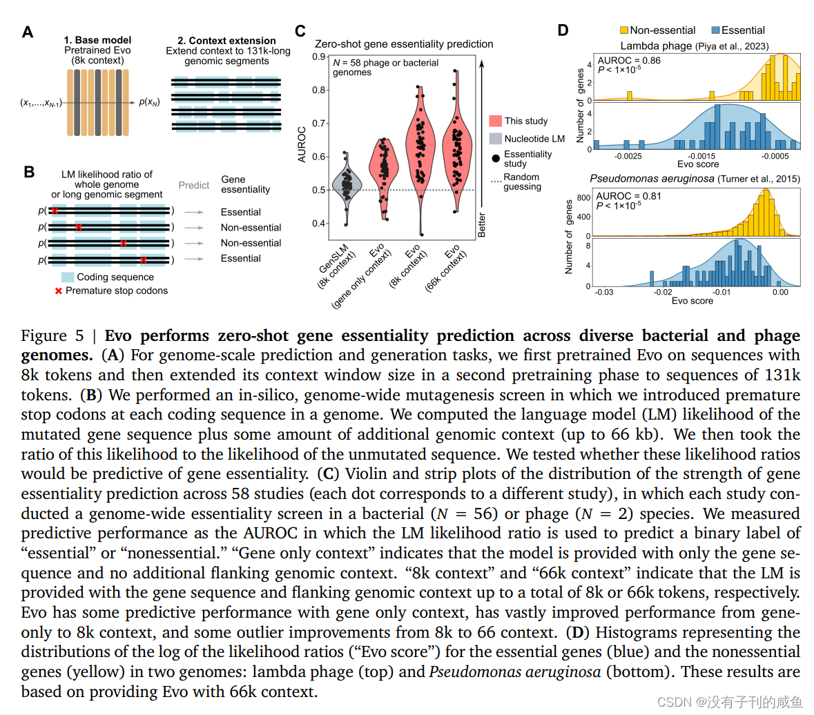 论文阅读笔记(三)——EVO:Sequence modeling and design from molecular to genome scale with Evo-CSDN博客