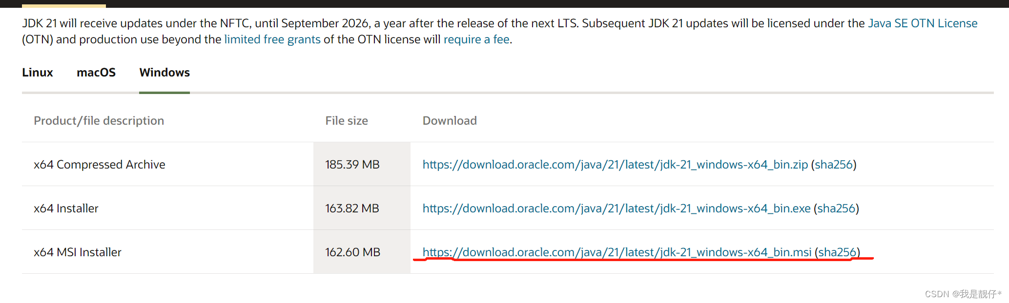 JDK安装教程_temurin jdk-CSDN博客