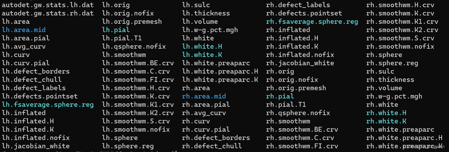 如何在win11上安装freesurfer并获取头模型_freesurfer 下载windows-CSDN博客