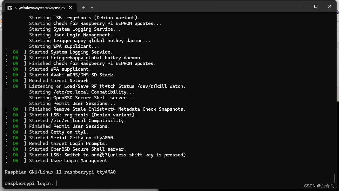 【超详细】win11安装qemu，用ssh客户端mobaxterm运行第一个hello汇编程序_windows11 qemu-CSDN博客