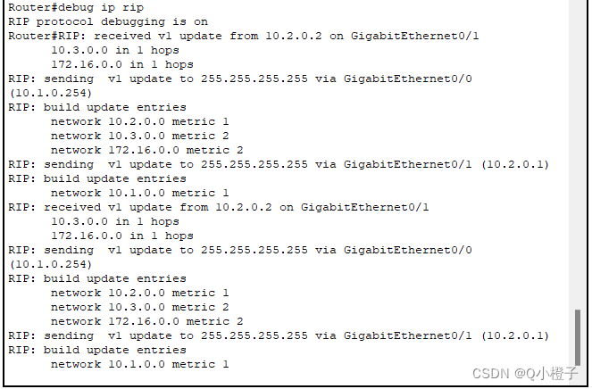 计算机网络实验十：RIPv1和RIPv2动态路由协议配置_ripv1实验配置-CSDN博客
