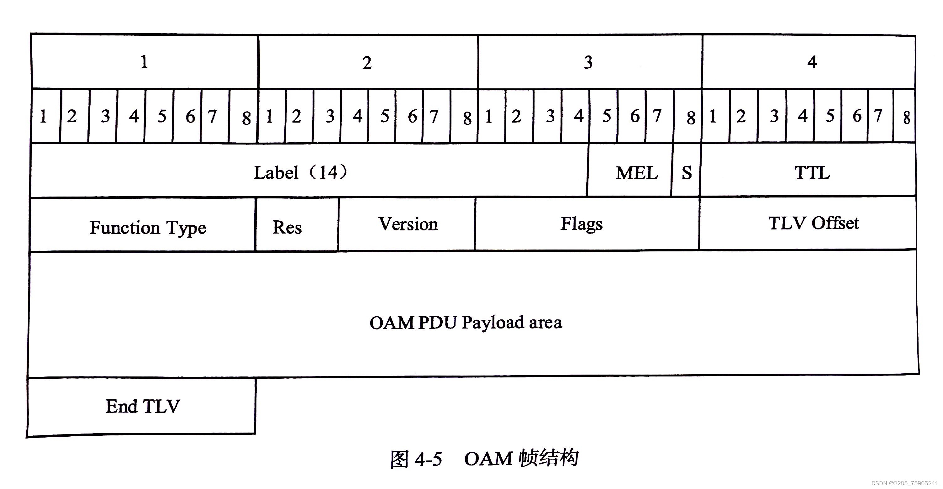 PTN技术原理-CSDN博客