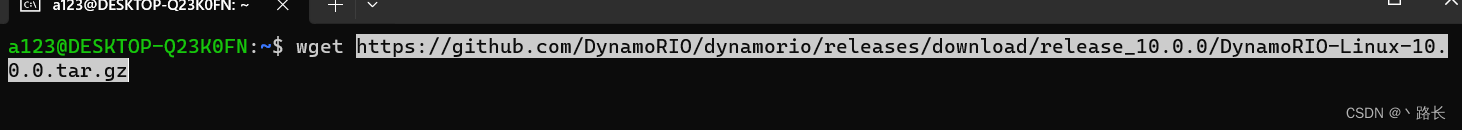 Dynamorio插桩工具的使用-CSDN博客