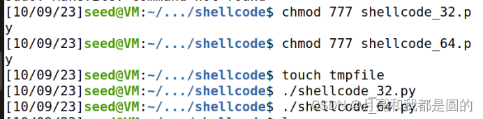 网络攻防-缓冲区溢出攻击实验_网络安全缓冲区溢出实验-CSDN博客