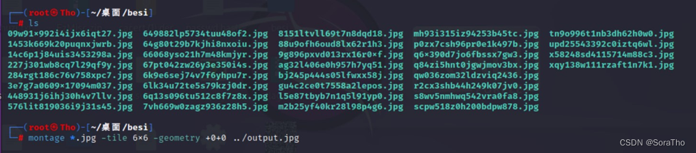 Montage+gaps拼图（详细）_montage拼图-CSDN博客