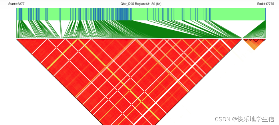 PopLDdecay画连锁不平衡LD学习笔记，1.5版本-CSDN博客