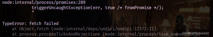 [debug]nodejs fetch/js gemini api不使用代理问题 node:internal/process/promises:289 ...