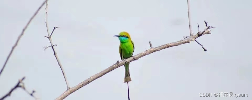 Springboot 系列教程 Mybatisxml 整合篇springboot Mybatis Xml Csdn博客