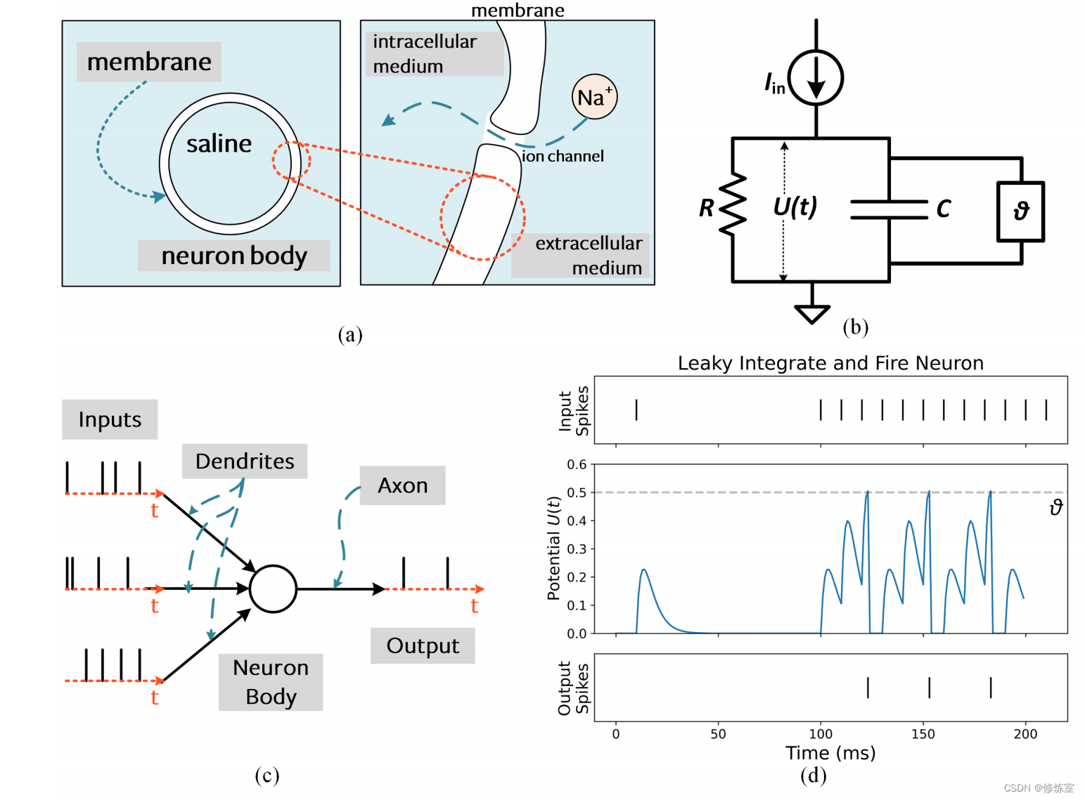 脉冲神经网络入门指南（二）From Artificial to Spiking Neural Networks-什么是LIF神经元【文献精读】_脉冲神经网络lif模型-CSDN博客
