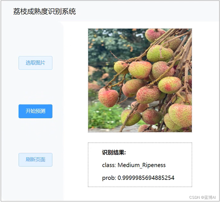 基于卷积神经网络的荔枝成熟度识别(pytorch框架)【python源码ui界面前端界面功能源码详解】荔枝检测的onnx模型 Csdn博客