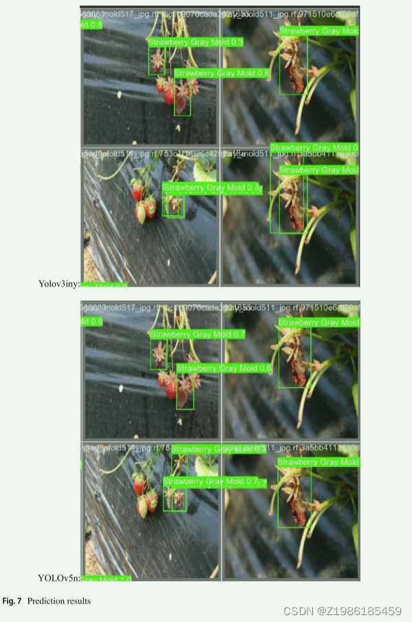 The improved YOLOv8 algorithm based on EMSPConvand SPE‑head modules：基于EMSPConv和SPE-head模块的改进 ...