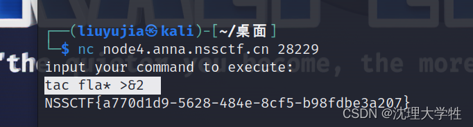 FSCTF 2023（公开赛道）（pwn持续更新中）_ctf 2023 pwn wp-CSDN博客