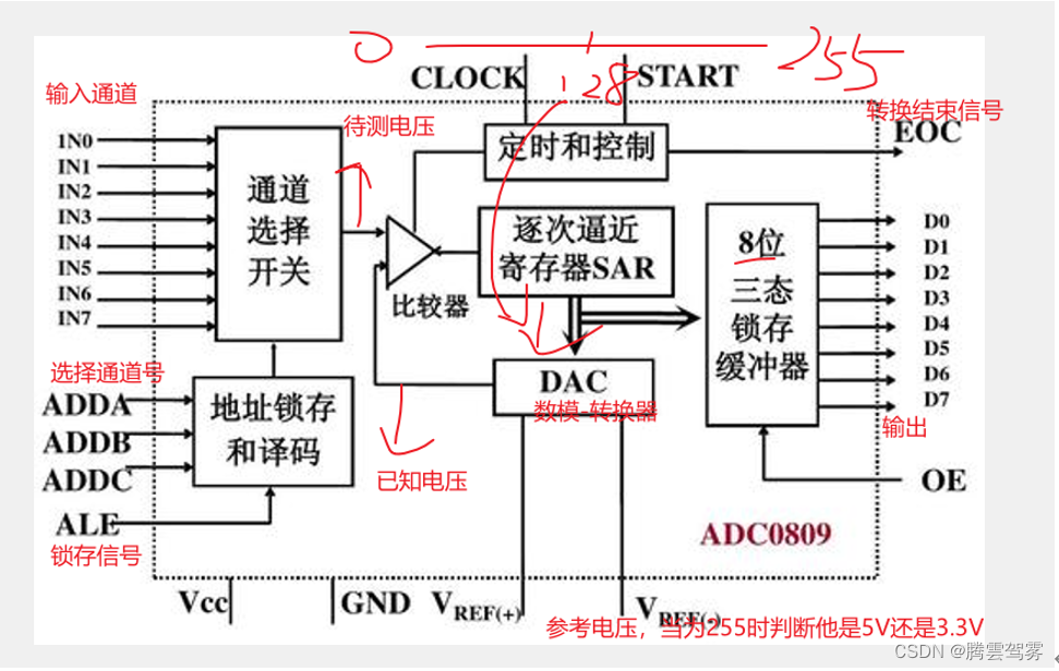 关于STM32F103C8T6的ADC_stm32f103c8t6的adc内部通道-CSDN博客