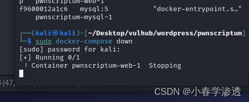 pwnscriptum漏洞复现-CSDN博客