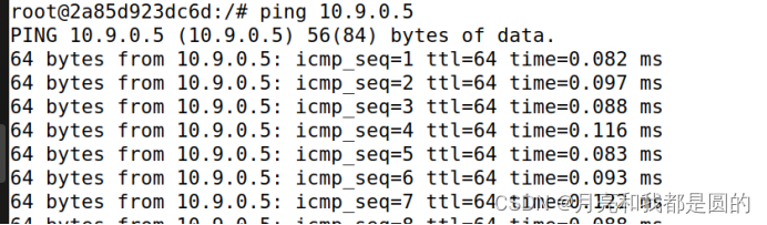网络攻防--嗅探与欺骗_sniff and spoof python代码改变原地址-CSDN博客