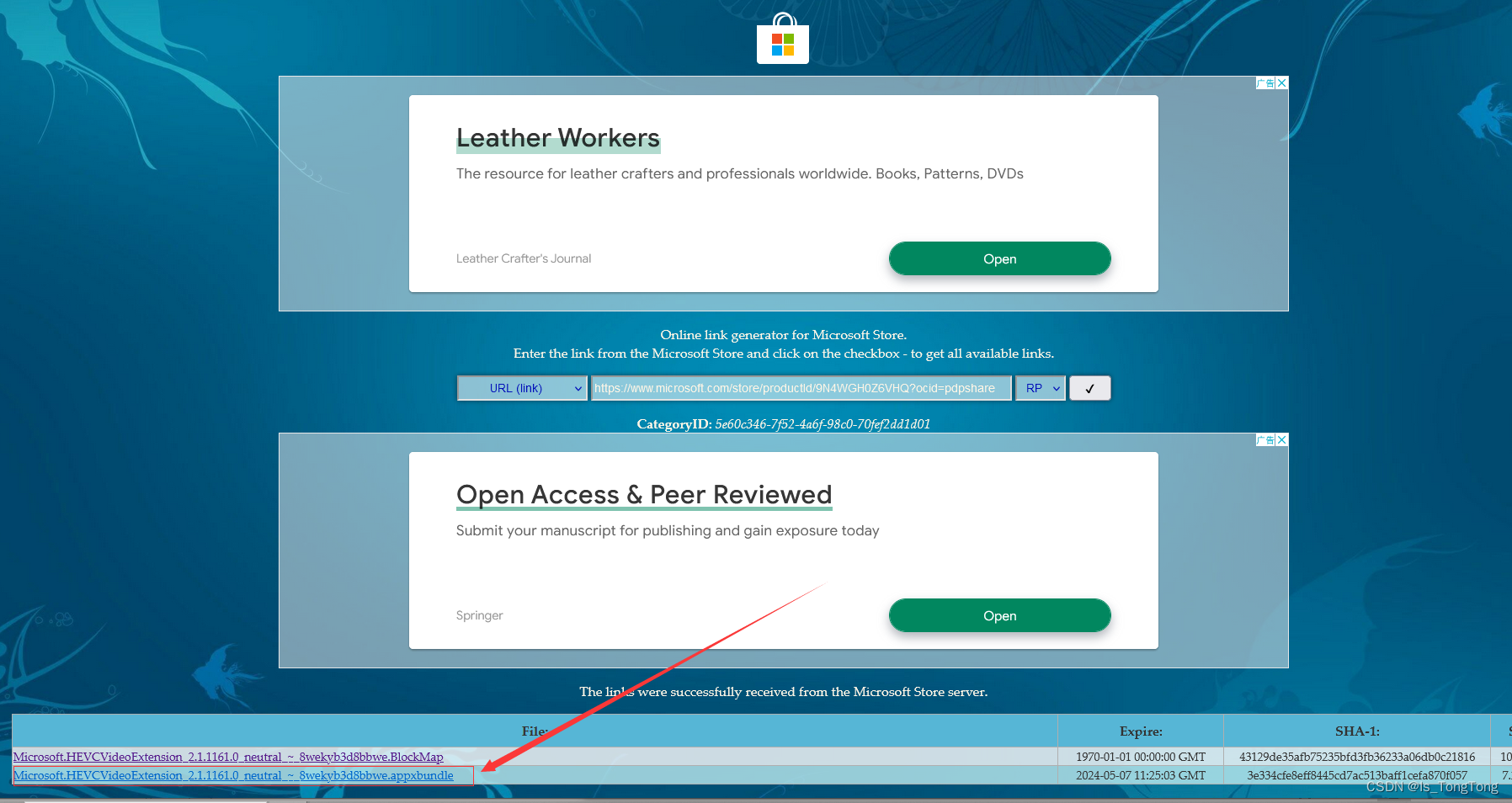 解决widows使用默认播放器播放视频时，出现需要购买HEVC问题_显示此文件需要hevc解码器-CSDN博客