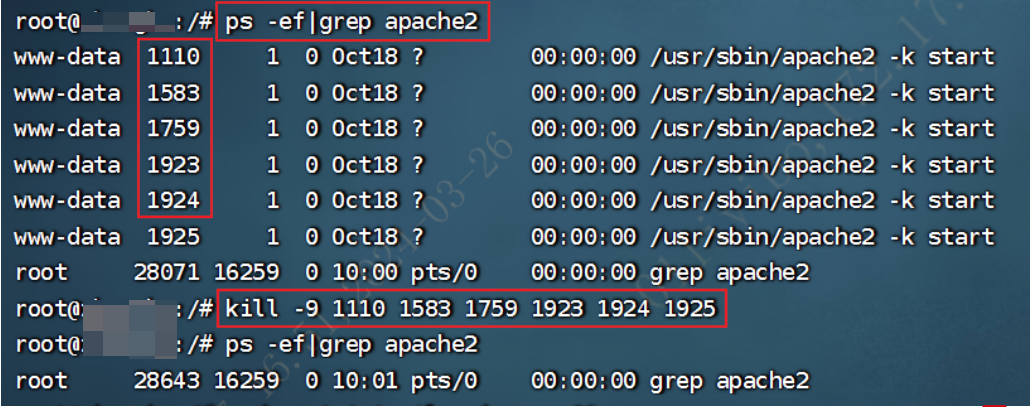 Linux进程无法杀死或以另一个进程号运行 Linux强制杀死一个进程 它换成另一个进程号继续运行 Csdn博客