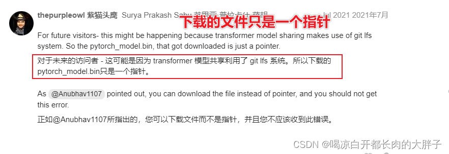 _pickle.UnpicklingError: invalid load key, ‘v‘_unpicklingerror: invalid load key, 'v'.-CSDN博客