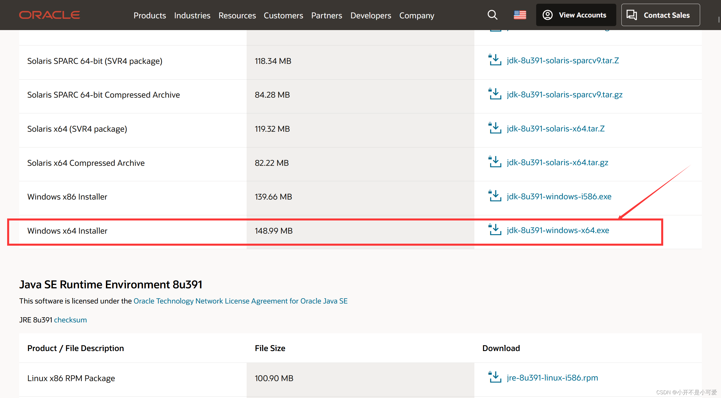 win11安装Java环境详细教程_win11 java环境配置-CSDN博客