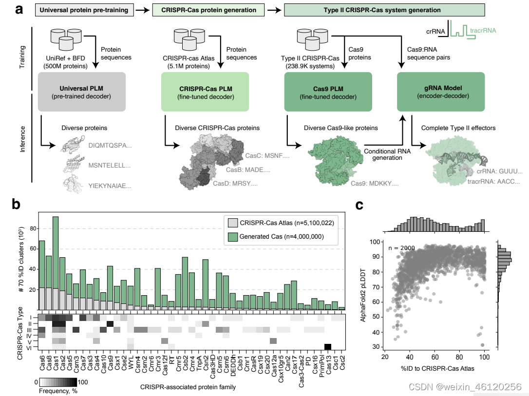 Design of highly functional genome editors bymodeling the universe of ...