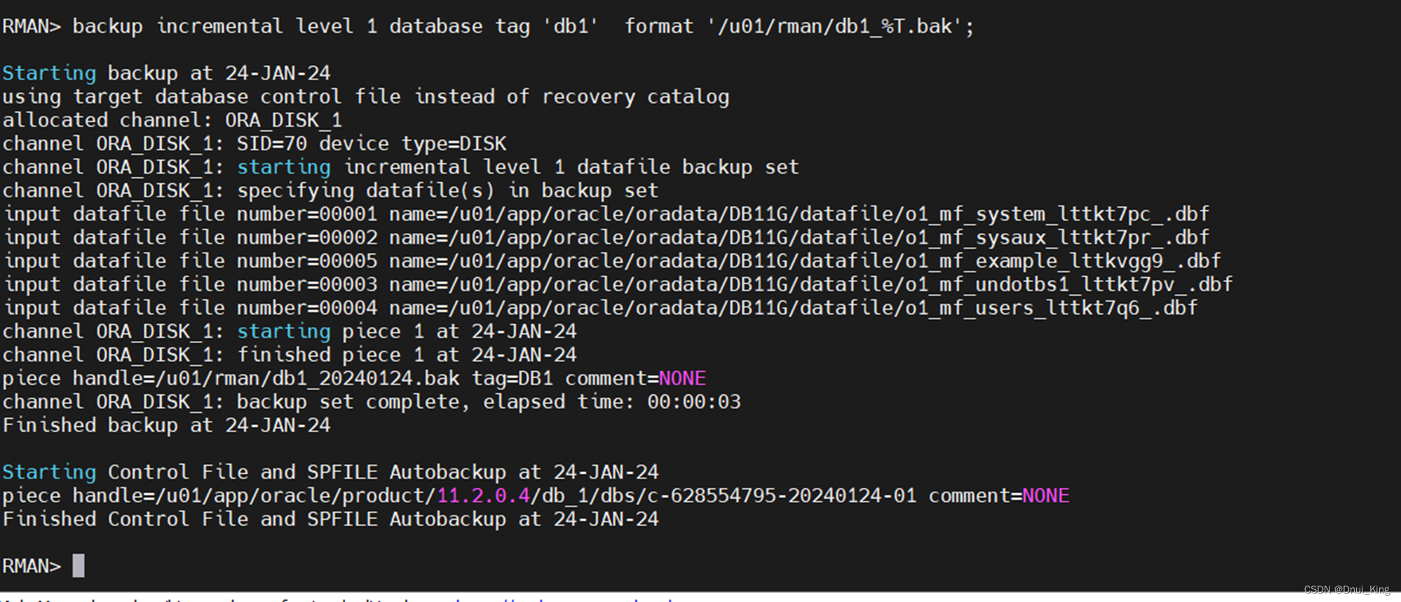 oracle RMAN备份恢复实操_oracle rman恢复-CSDN博客