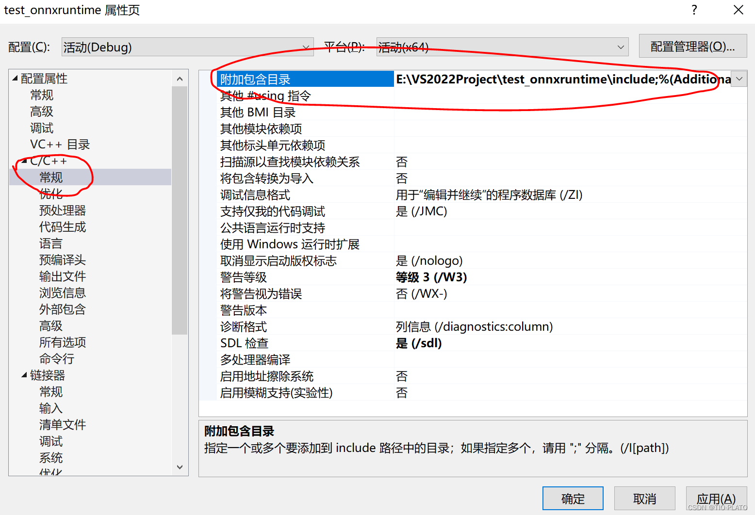 Linux下使用C++（基于VS2022远程编译）及python加载onnx模型进行推理相关实践_linux onnxruntime c++使用-CSDN博客