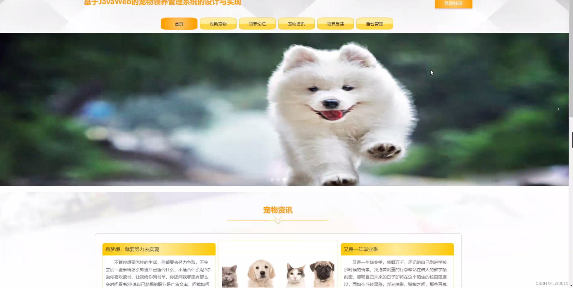 基于javaweb的宠物领养管理系统的设计与实现源码开题基于java Web的流浪宠物管理系统的设计与实现 Csdn博客