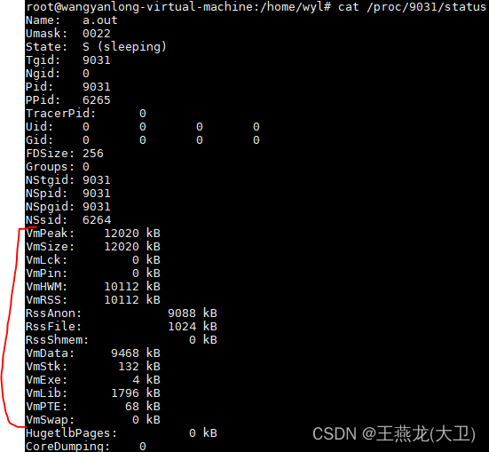 [linux] linux 下怎么定位内存泄漏 + free，buddyinfo-CSDN博客