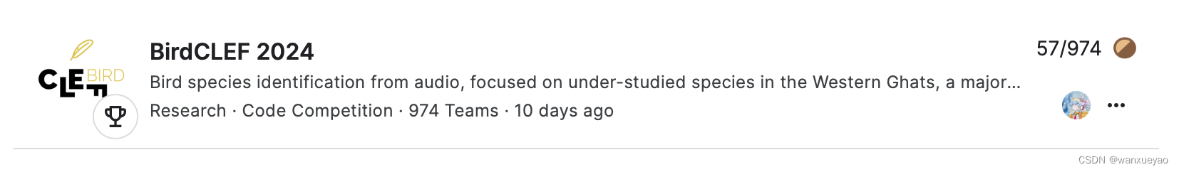 kaggle实战——BirdCLEF 2024-CSDN博客