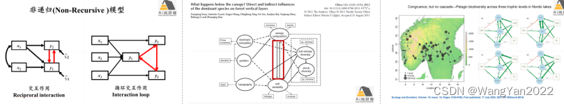 R语言结构方程模型sem：lavaan包讲解及应用、潜变量分析、复合变量分析、分类变量分析、分组数据分析、嵌套分层多水平数据分析、重复测量和时间数据分析、空间自相关数据分析、非递归模型分析