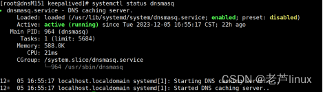 DNSmasq 服务器配置_dnsmasq配置-CSDN博客
