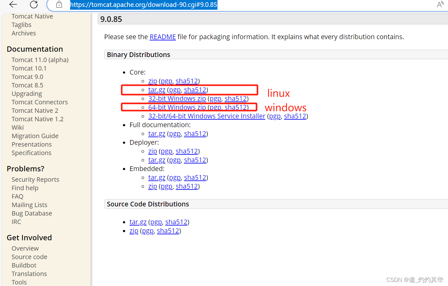 Windows更换Tomcat版本_windows tomcat升级-CSDN博客
