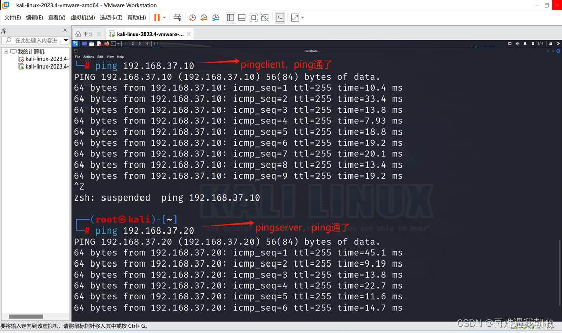 ensp+kali实现ARP欺骗攻击_ensp arp欺骗案例 python代码-CSDN博客