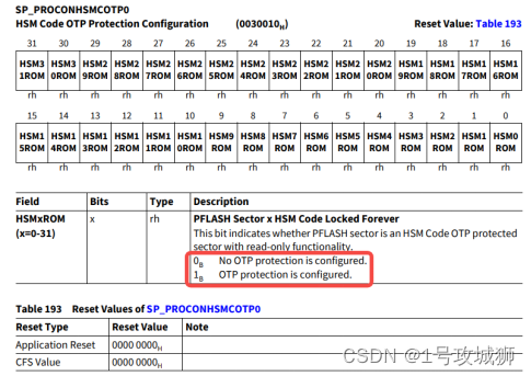 英飞凌HSM模块介绍-CSDN博客