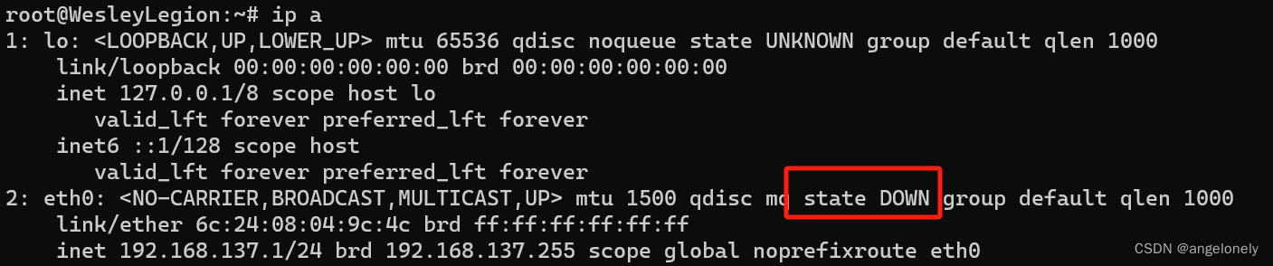 ISC-DHCP-SERVER启动报错_isc-dhcp-server failed-CSDN博客