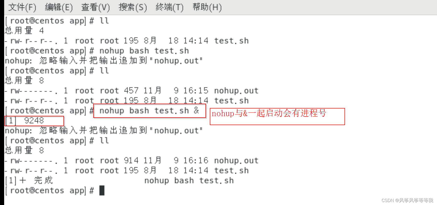 Linux nohup后台启动/ 后台启动命令中nohup 、&、重定向的使用_nohup 启动-CSDN博客