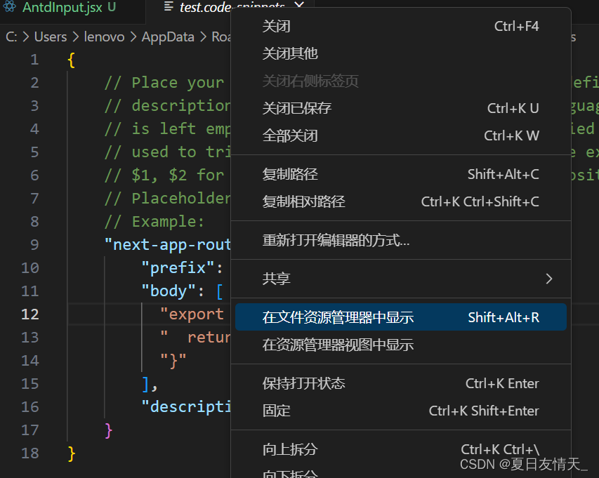 VS Code 用户代码片段snippets的使用_snippets教程-CSDN博客