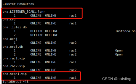 Oracle篇—单机对外访问的IP变更为RAC集群的SCAN IP_scanip-CSDN博客