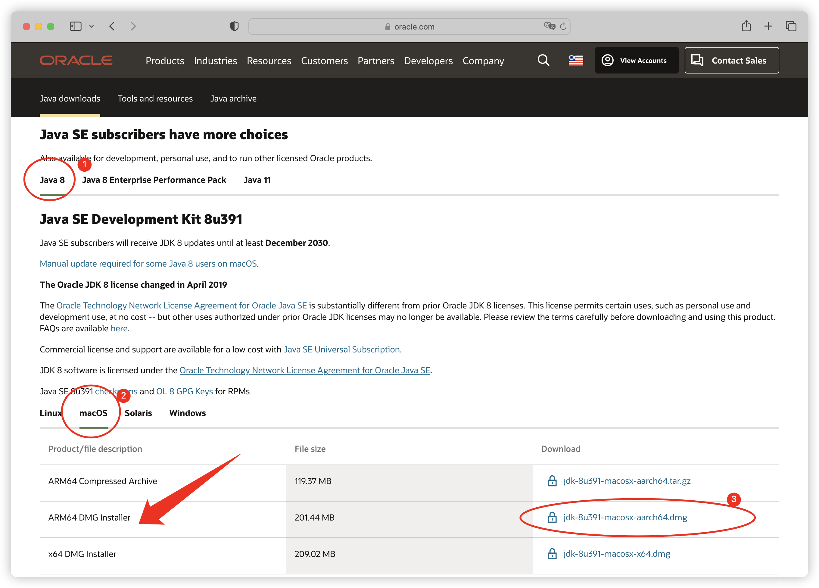 保姆级Macbook(Apple silicon)配置Java编程环境_mac 配置maven-CSDN博客