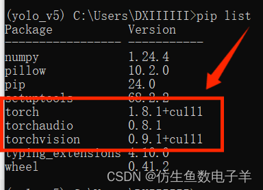YOLOv5学习——pytorch安装避坑_yolov5 pytorch-CSDN博客