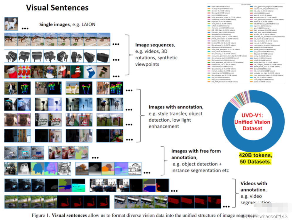 Large Vision Models-CSDN博客