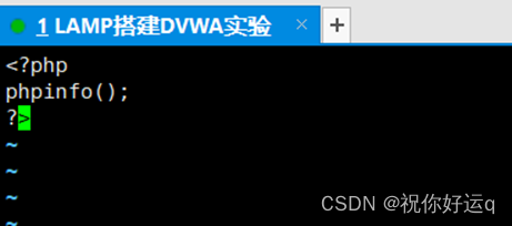 Centos7基于LAMP搭建DVWA靶场-CSDN博客