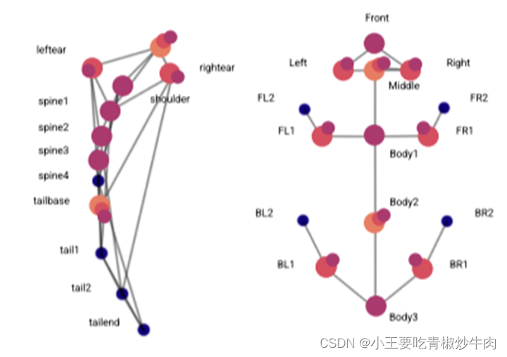 《Multi-animal pose estimation, identification andtracking with DeepLabCut》—基于DeepLabCut的多动物姿态估计 ...