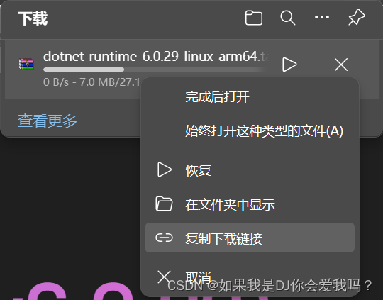 Linux 学习记录（2）-安装.NET_linux安装netic-CSDN博客