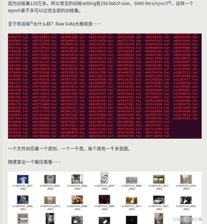 把imagenet数据集随机挑选出来当训练集和测试集_提取imagenet某一类-CSDN博客